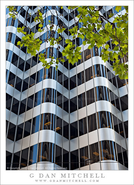 Urban Spring | G Dan Mitchell Photography